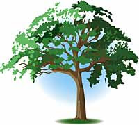 reseña de guatemala